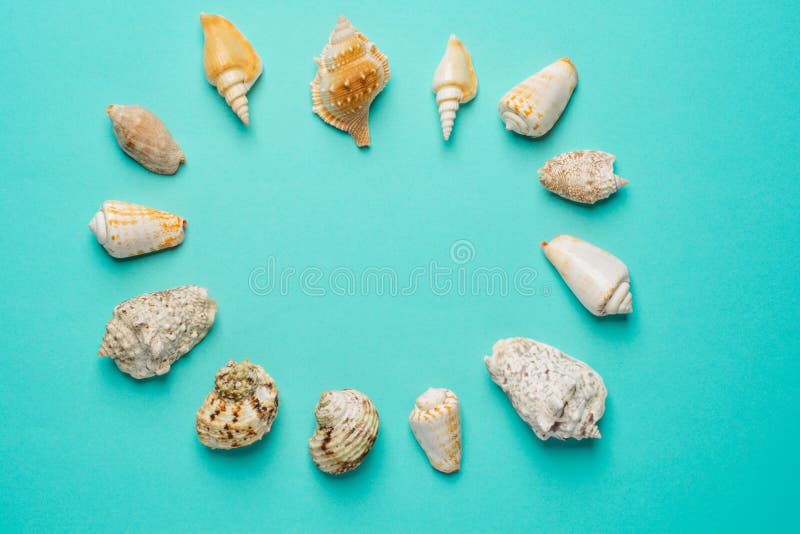 Flat Lay. Top View. Frame of Shells of Various Kinds on a Blue ...