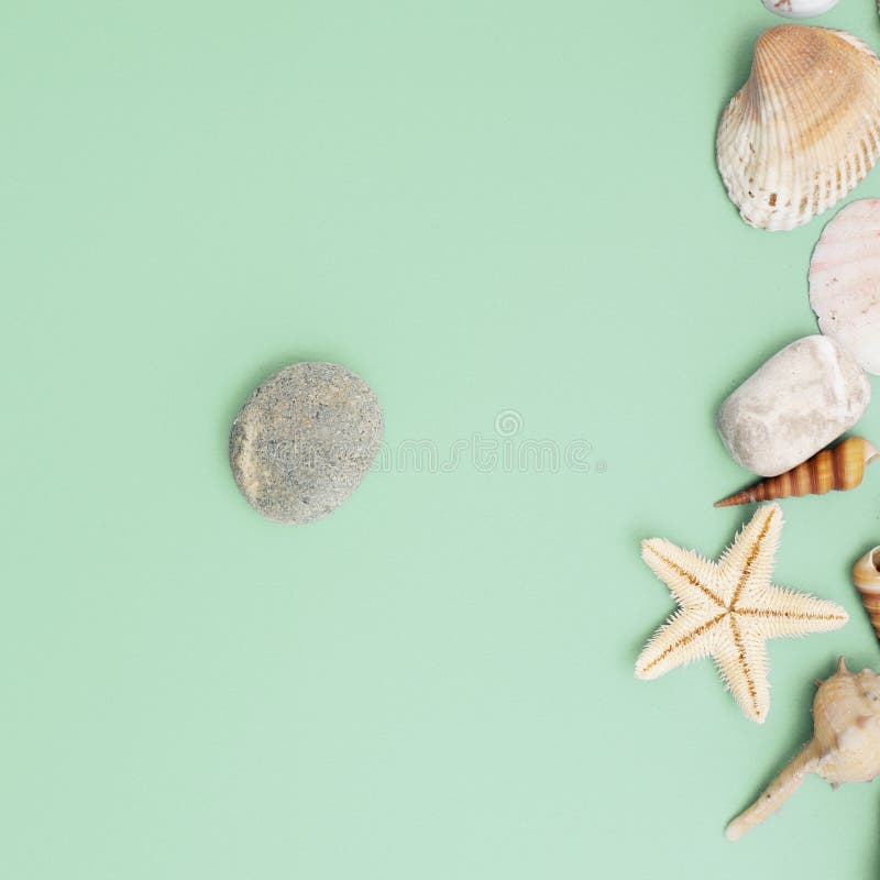 Flat Lay of Shells on a Blue Wooden Background Stock Image - Image of ...