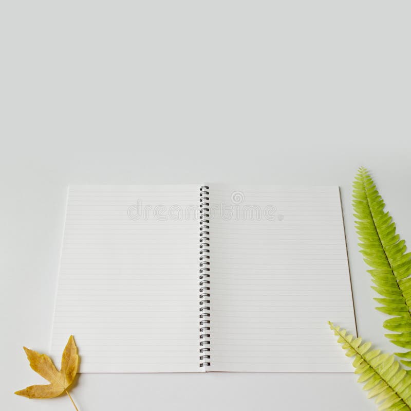 Flat Lay, Office Desk Working Space with Notepad, Leaf and Notebook.Top ...