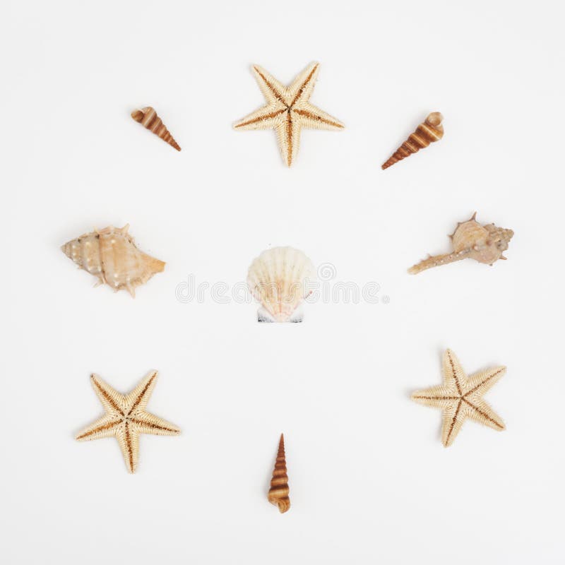Flat Lay of Shells on a Blue Wooden Background Stock Image - Image of ...