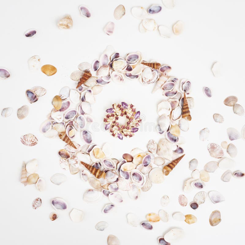 Flat Lay of Shells on a Blue Wooden Background Stock Photo - Image of ...