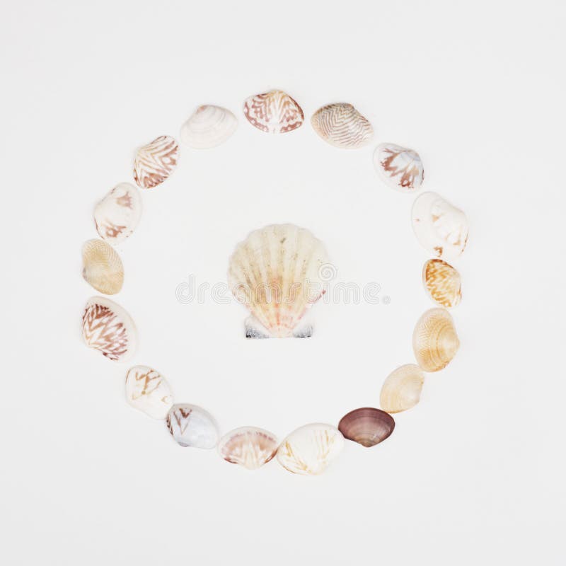 Flat Lay of Shells on a Blue Wooden Background Stock Photo - Image of ...