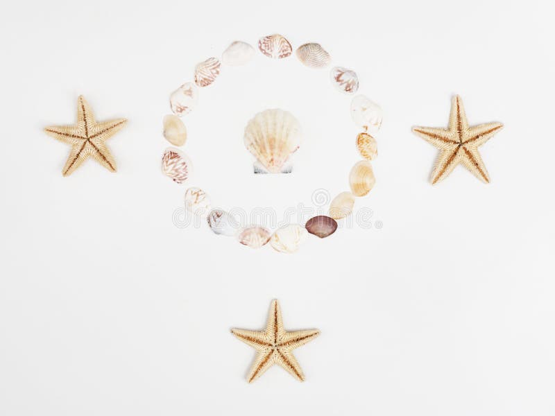 Flat Lay of Shells on a Blue Wooden Background Stock Image - Image of ...