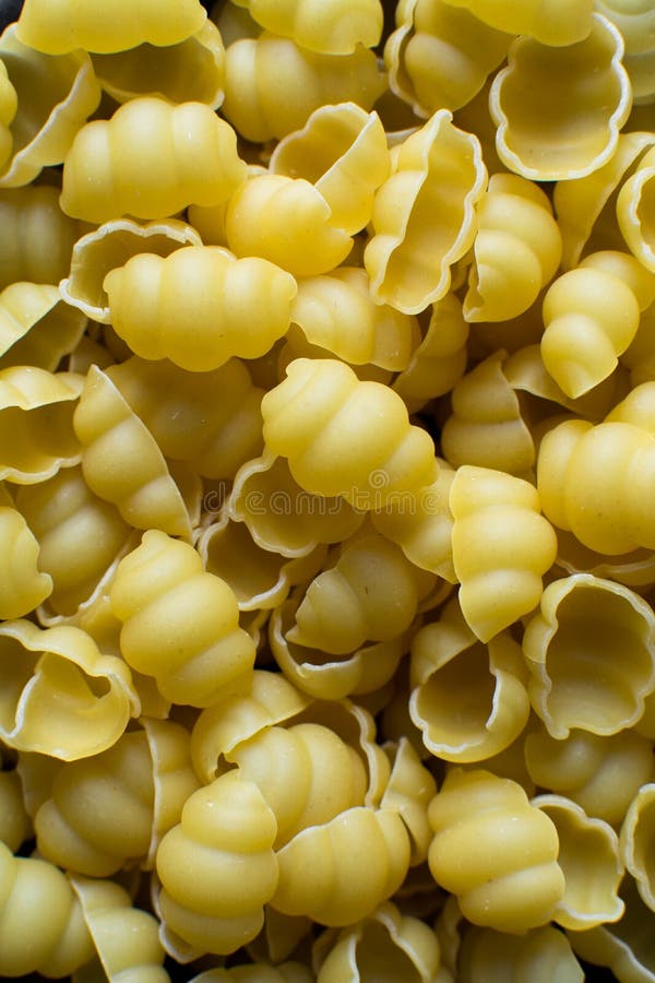 Flat Lay of Uncooked Gnocchetti Pasta Shells Stock Image - Image of ...