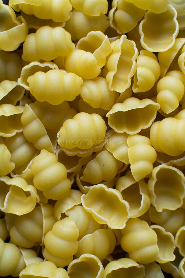 Flat Lay of Uncooked Gnocchetti Pasta Shells Stock Image - Image of ...