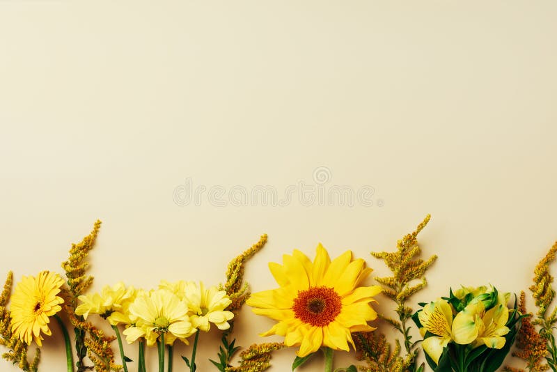 Flat Lay with Various Beautiful Flowers Arrangement Stock Image - Image ...