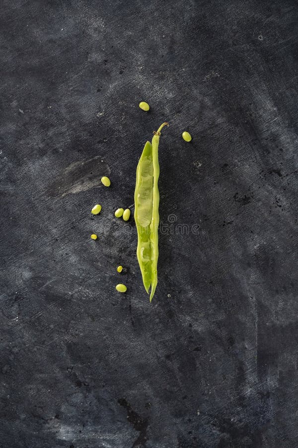 Flat Lay Young Natural Organic Bean Pod Isolated, Copy Space for Your ...