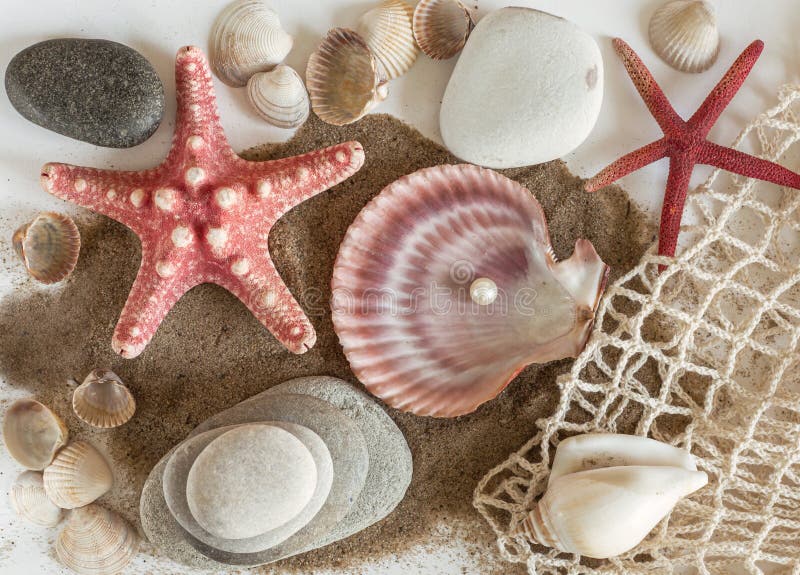 Flat Layout on a Marine Theme ,shell with Pearls Stock Photo - Image of ...
