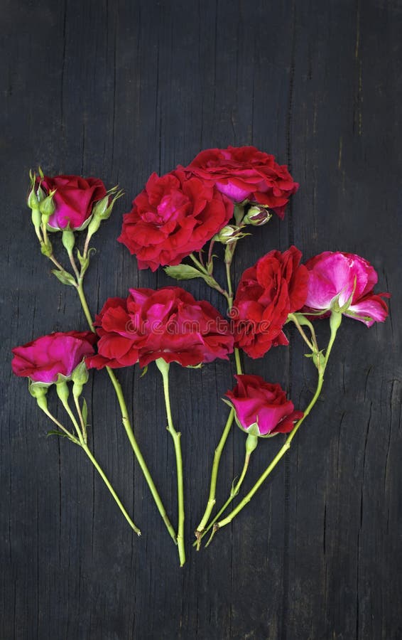 Flat Layout, Red Roses on a Black Wooden Surface Stock Photo - Image of ...