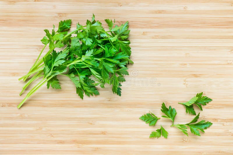 Flat Leaf Parsley Stalks Isolated on White Background Stock Image ...