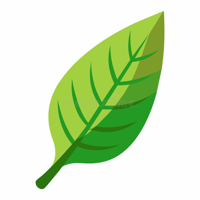 Flat Leave Icon. Vector Illustration Cute Cartoon Image Clipart Stock ...