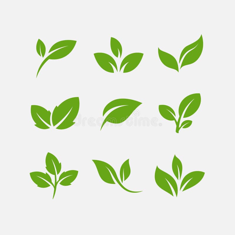 Flat Leaves Icon Pack. Leaf Vector Illustration Stock Vector ...
