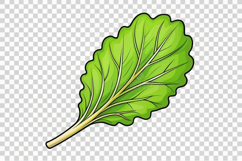 Flat Line Drawing Mustard Green Leaf Vector Stock Illustration ...