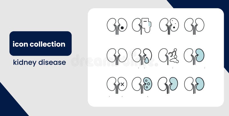 Flat Line Kidney Disorder Vector Set Featuring Symptoms Diagnosis and ...
