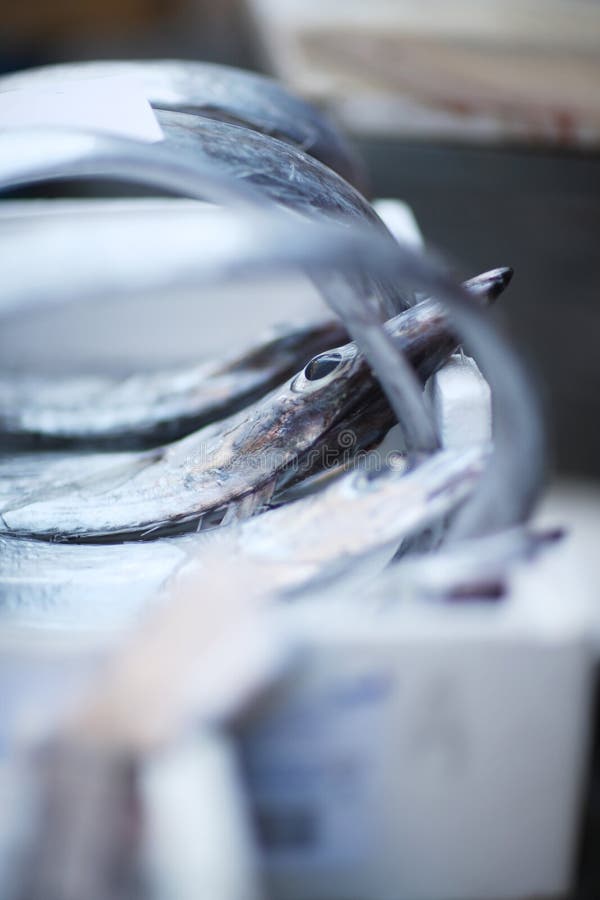Flat Long Silver Fish Sword Stock Photo - Image of fishery, catch: 96829462