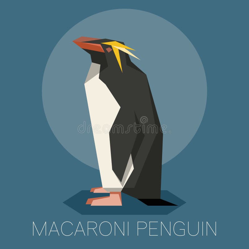 Flat Macaroni penguin stock vector. Illustration of ocean - 113168107