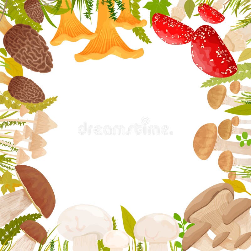 Flat Mushrooms Frame Composition Stock Vector - Illustration of ripe ...