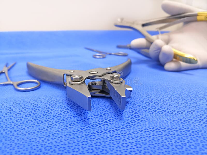 Flat Nose Wire Cutting Pliers Forceps with Side Cutter Stock Photo ...