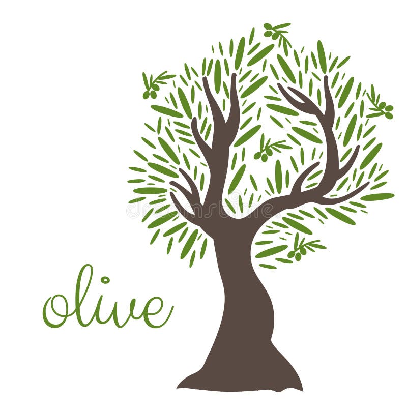 Flat olive tree. Vector stock vector. Illustration of graphic - 65813698