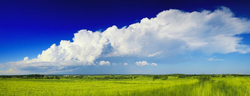 Flat Open Grassland and Sky Stock Photo - Image of cloud, grow: 11782044
