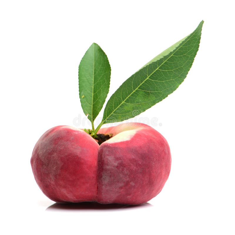 Flat peach stock image. Image of peach, backround, shot - 115699023