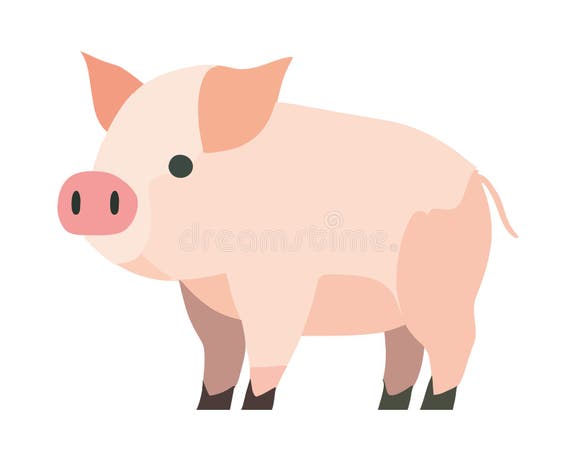 Flat pig illustration stock vector. Illustration of agriculture - 274722688