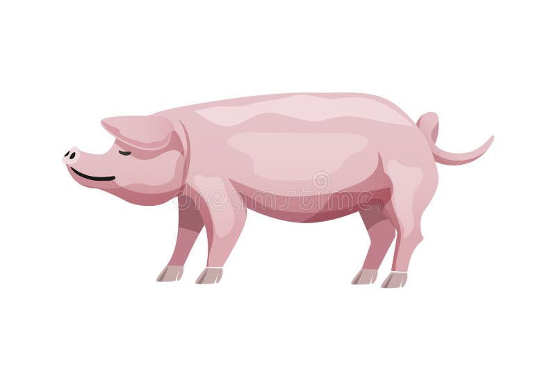 Flat Pig Illustration stock vector. Illustration of farm - 273316197
