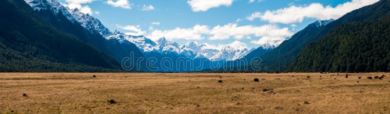 Flat Plain with Mountains in the Background Stock Photo - Image of tree ...