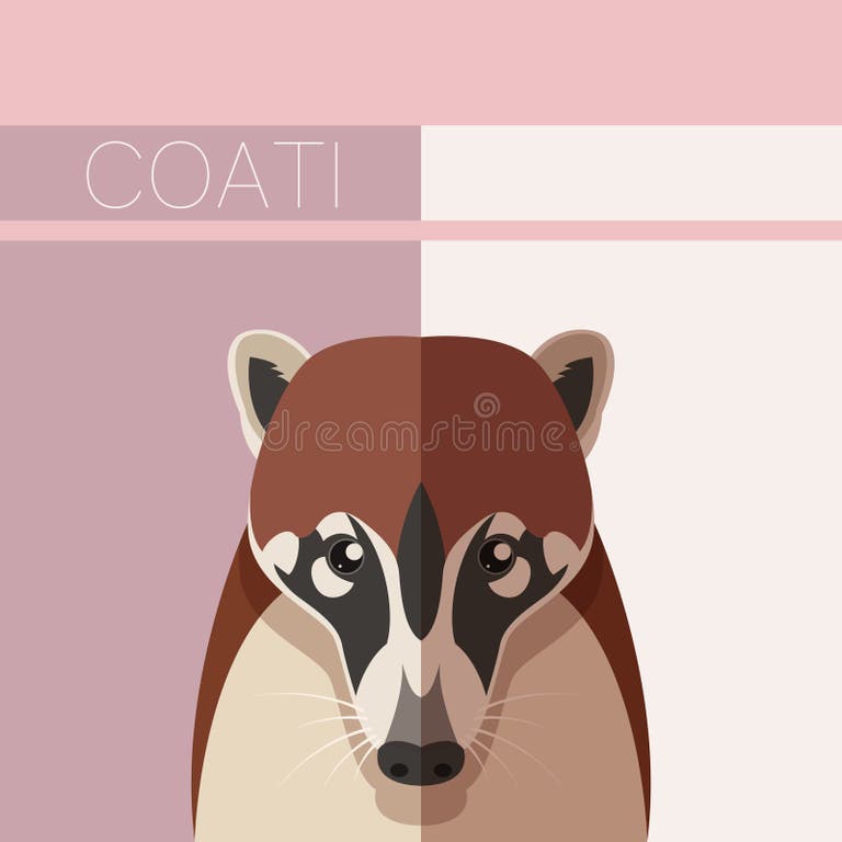 Coati Stock Illustrations – 184 Coati Stock Illustrations, Vectors ...