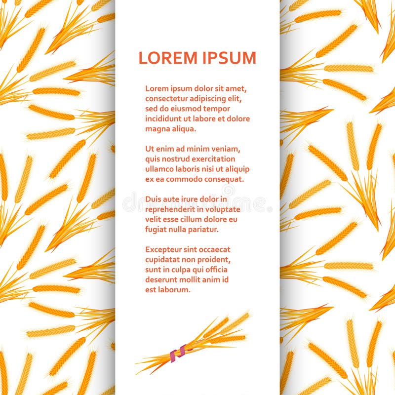 Flat Poster or Banner Template with Wheat Stock Vector - Illustration ...