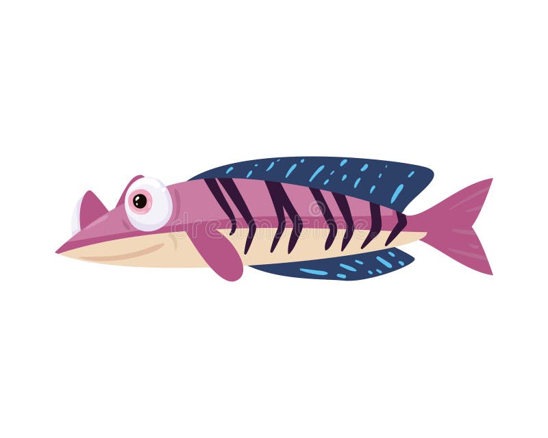 Flat purple fish stock vector. Illustration of fauna - 273147229