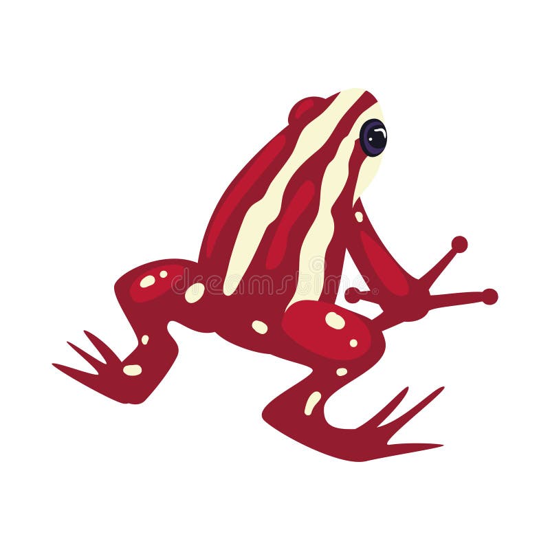 Flat red frog stock vector. Illustration of animal, toad - 273161357