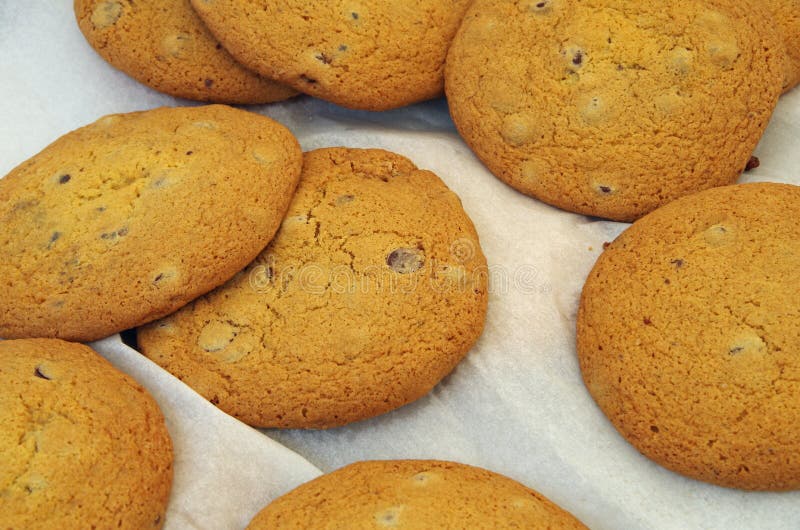 Flat Round Cookies on Display Stock Photo - Image of paper, cookies ...