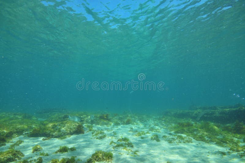 Flat Sea Bottom with Areas of Sand and Rock Stock Image - Image of flat ...