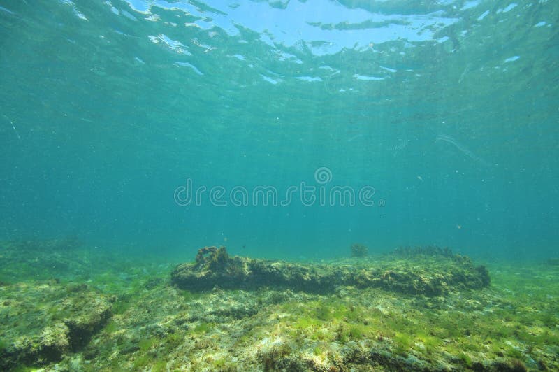 Flat Sea Bottom with Areas of Sand and Rock Stock Image - Image of ...