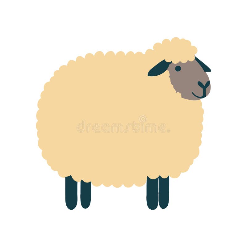 Flat sheep illustration stock vector. Illustration of natural - 274722736