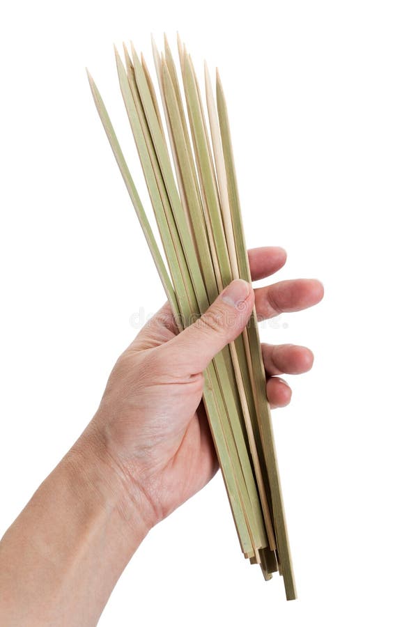 Hand holding Flat Skewer stock photo. Image of white - 189166360
