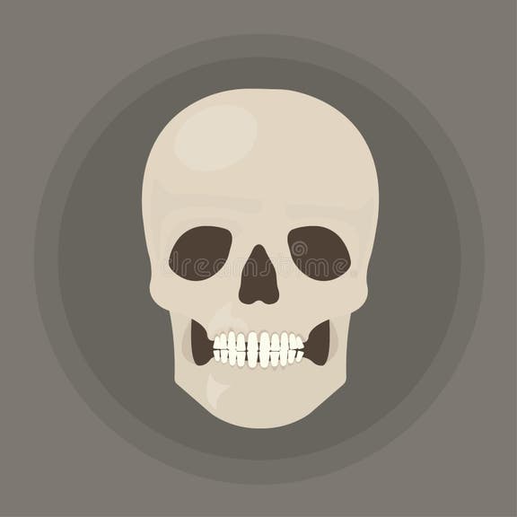 Flat skull stock illustration. Illustration of horror - 87655514