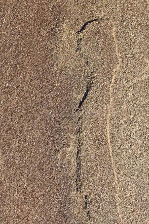 Flat Smooth Decorative Textured Stone Rough Material Background Stock ...