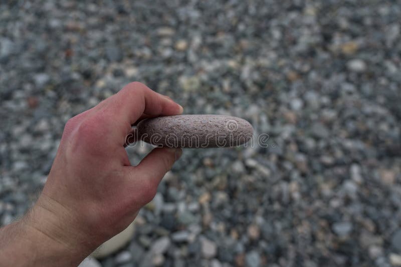 A Flat Stone in the Hand of a Man on the Background of a Stone Beach ...