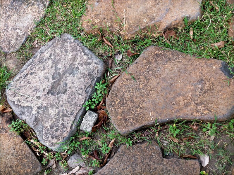 Flat stone in the park stock photo. Image of flat, wall - 224527468