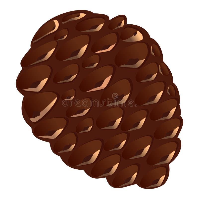 Flat Style Brown Pine Cone on White Stock Illustration - Illustration of flat, copy: 255582446