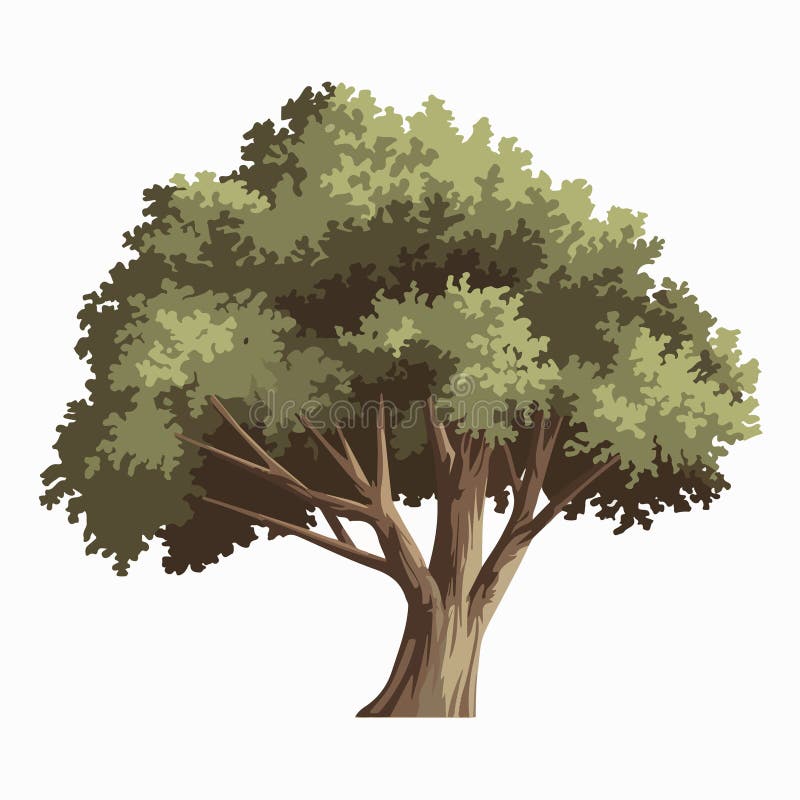 A Flat-Style Short Tree on a Plain White Background Stock Vector ...