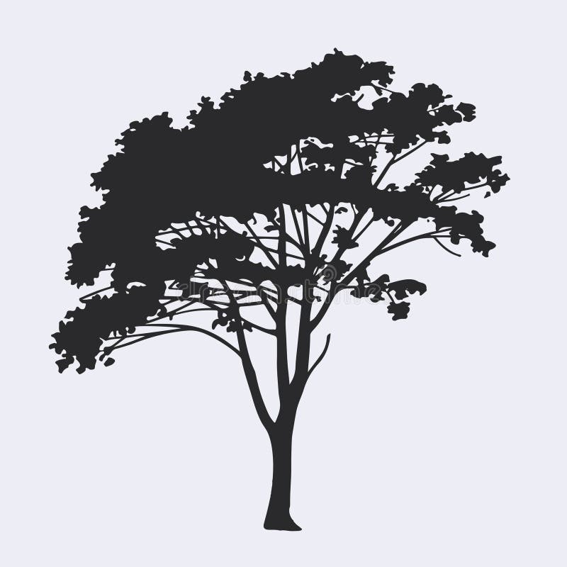 A Flat-Style Sparse Tree on a Plain White Background Stock Vector ...