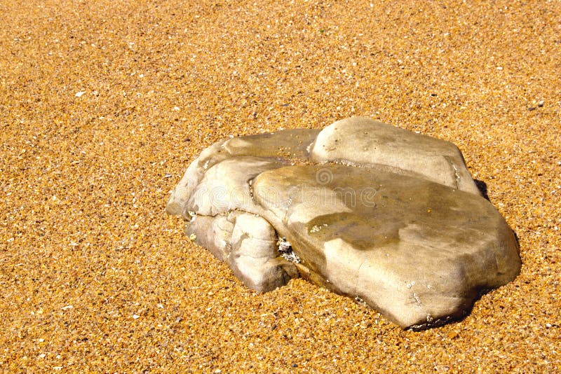 Flat Tip of Rock Protruding from Sand on Beach Stock Photo - Image of ...