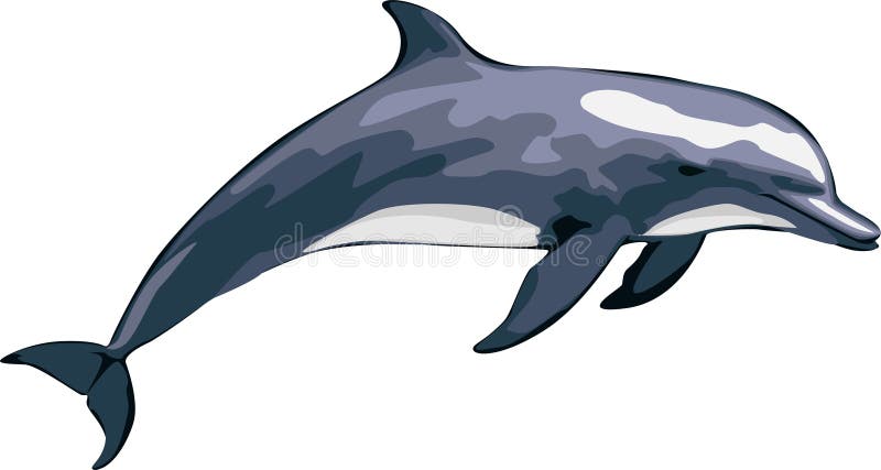 Flat Two Blue Dolphins in a Jump. Cute Dolphins Jumping on a White ...