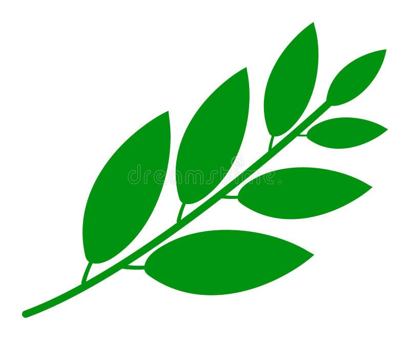 Flat Vector Coca Plant Leaves Icon Stock Vector - Illustration of glyph ...