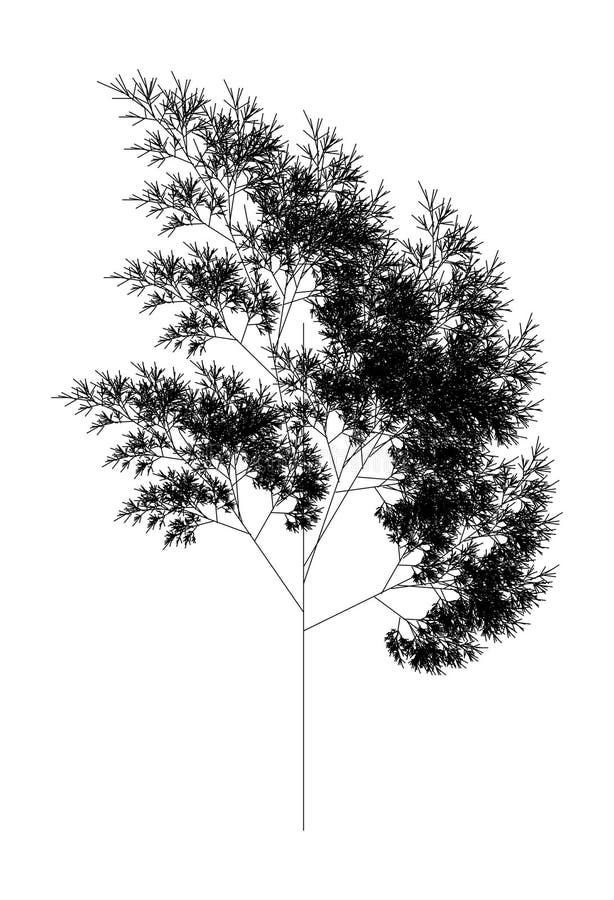 Flat Vector Computer Generated L-system Fractal Plant Generative Art ...