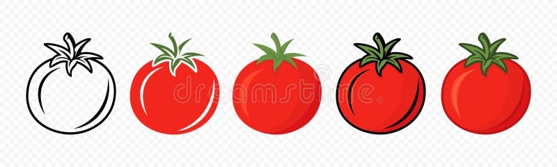 Flat Vector Fresh Tomato Icon Set Isolated. Whole Tomato Design ...