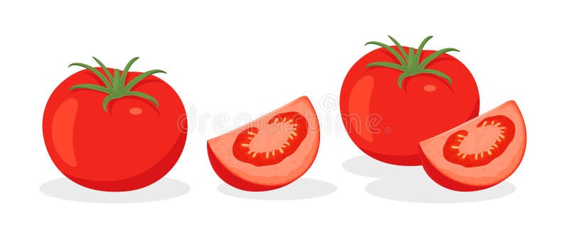 Flat Vector Fresh Tomato Icon Set Isolated. Whole and Quartered ...